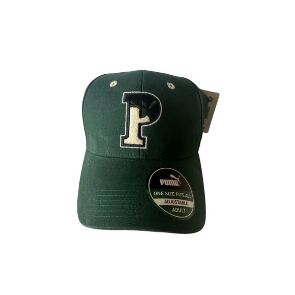 Puma | Accessories | Puma Deep Green P Logo Baseball Hat Cap New New ...
